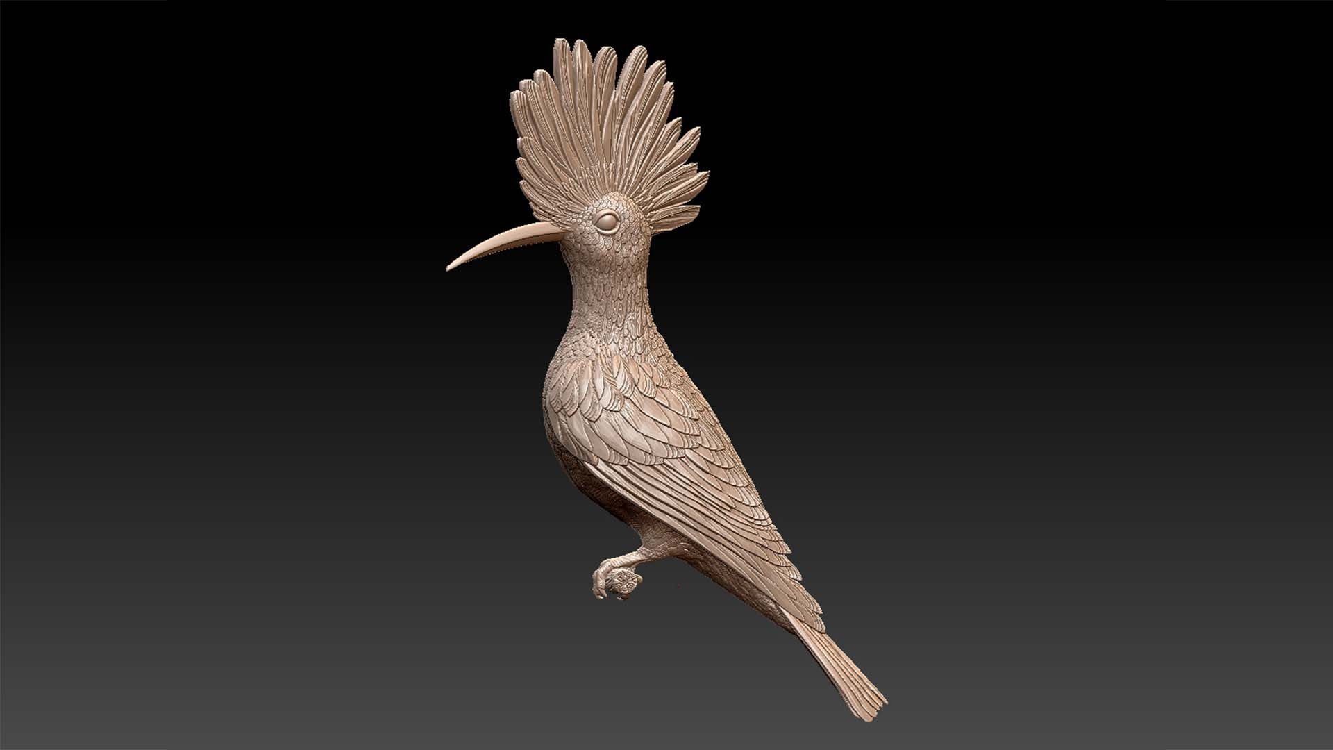 HOOPOE 3D - TurboSquid 1775072