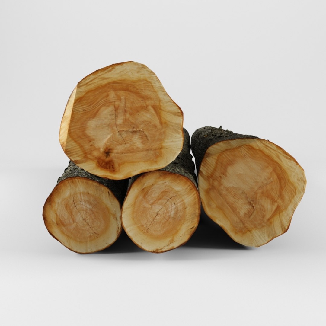 3d Log Model