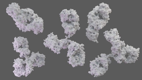 Antibody 3D model - TurboSquid 1840780