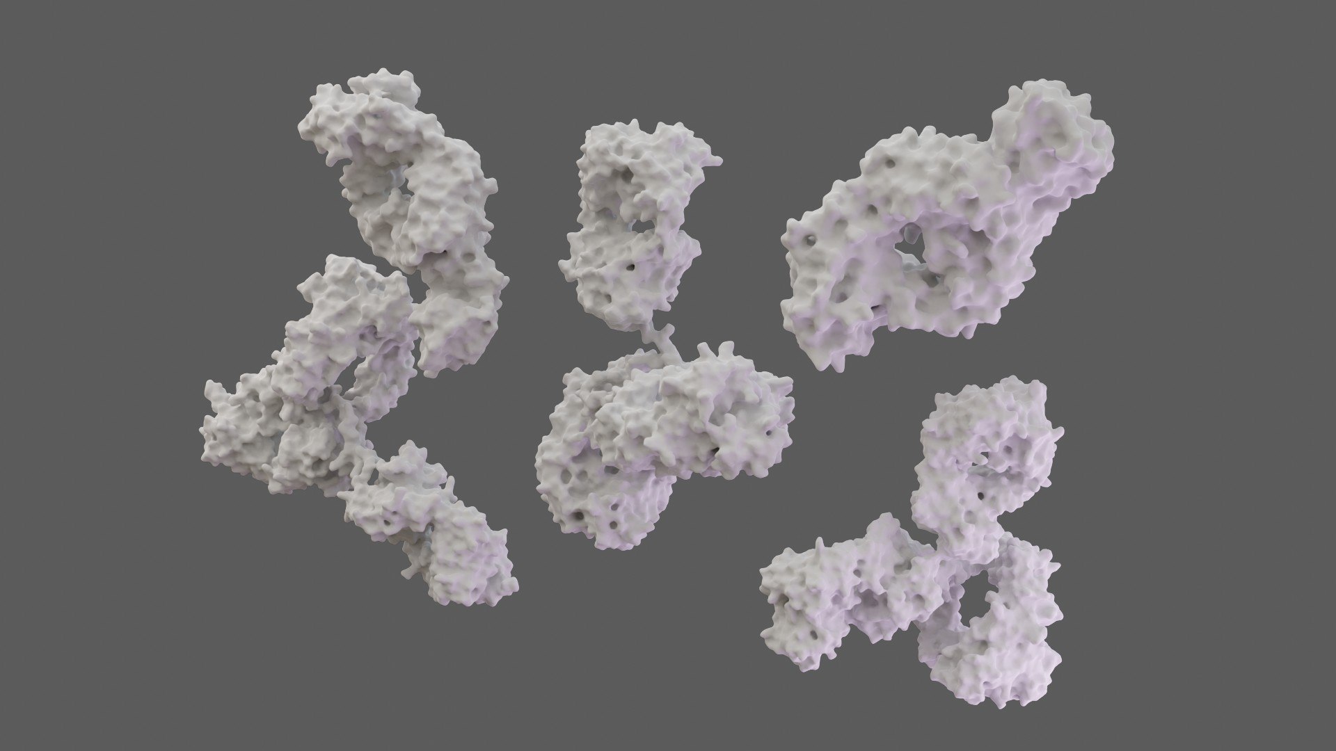 Antibody 3D model - TurboSquid 1840780