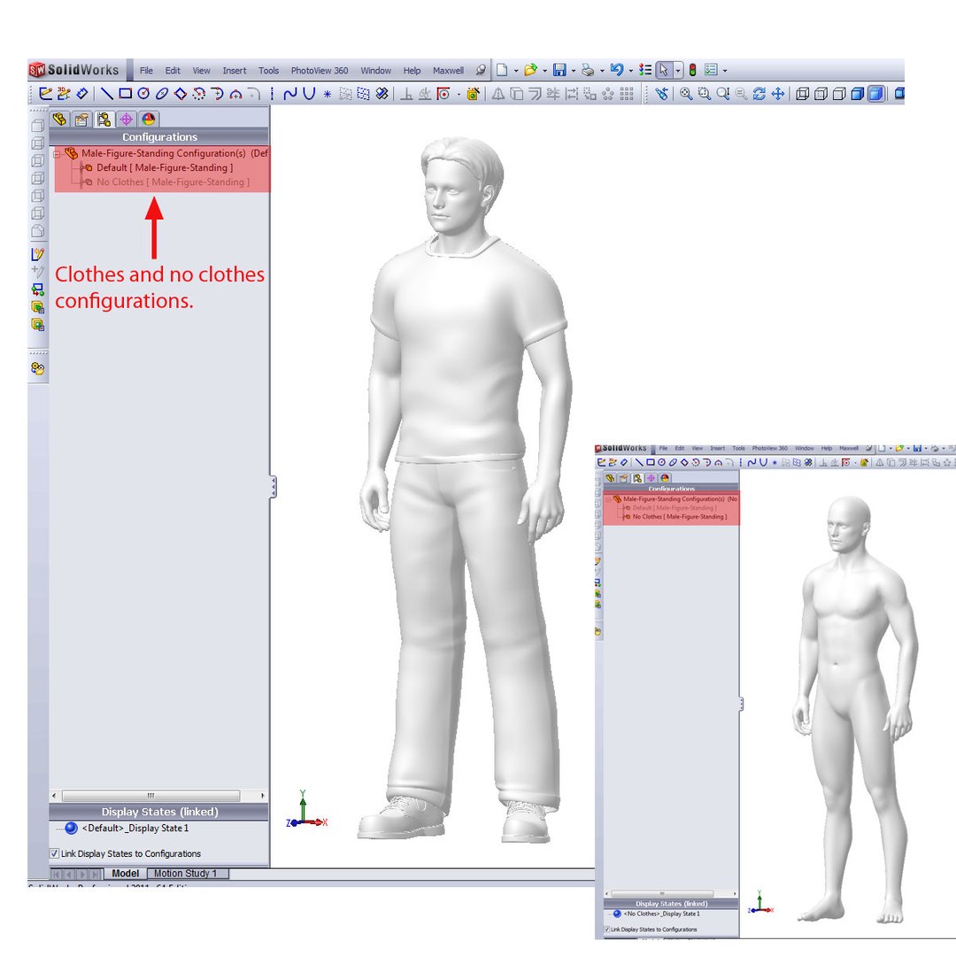 3dm Cad Male Standing Female Reference