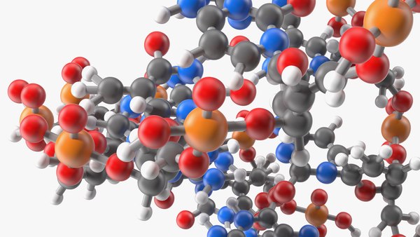 B Form DNA Structure 3D - TurboSquid 1836656