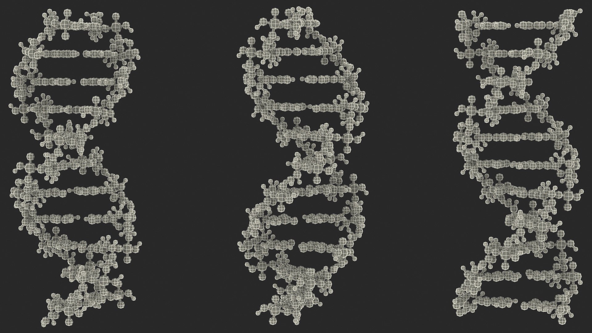 B Form DNA Structure 3D - TurboSquid 1836656