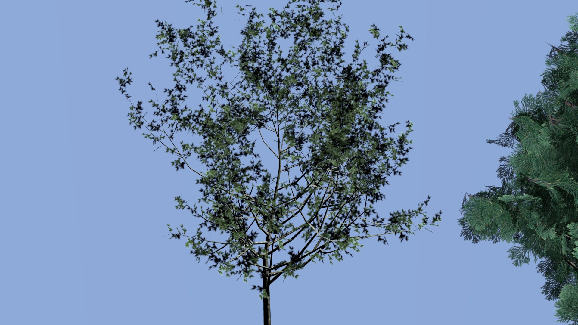 Games Tree 3D Model - TurboSquid 1347804