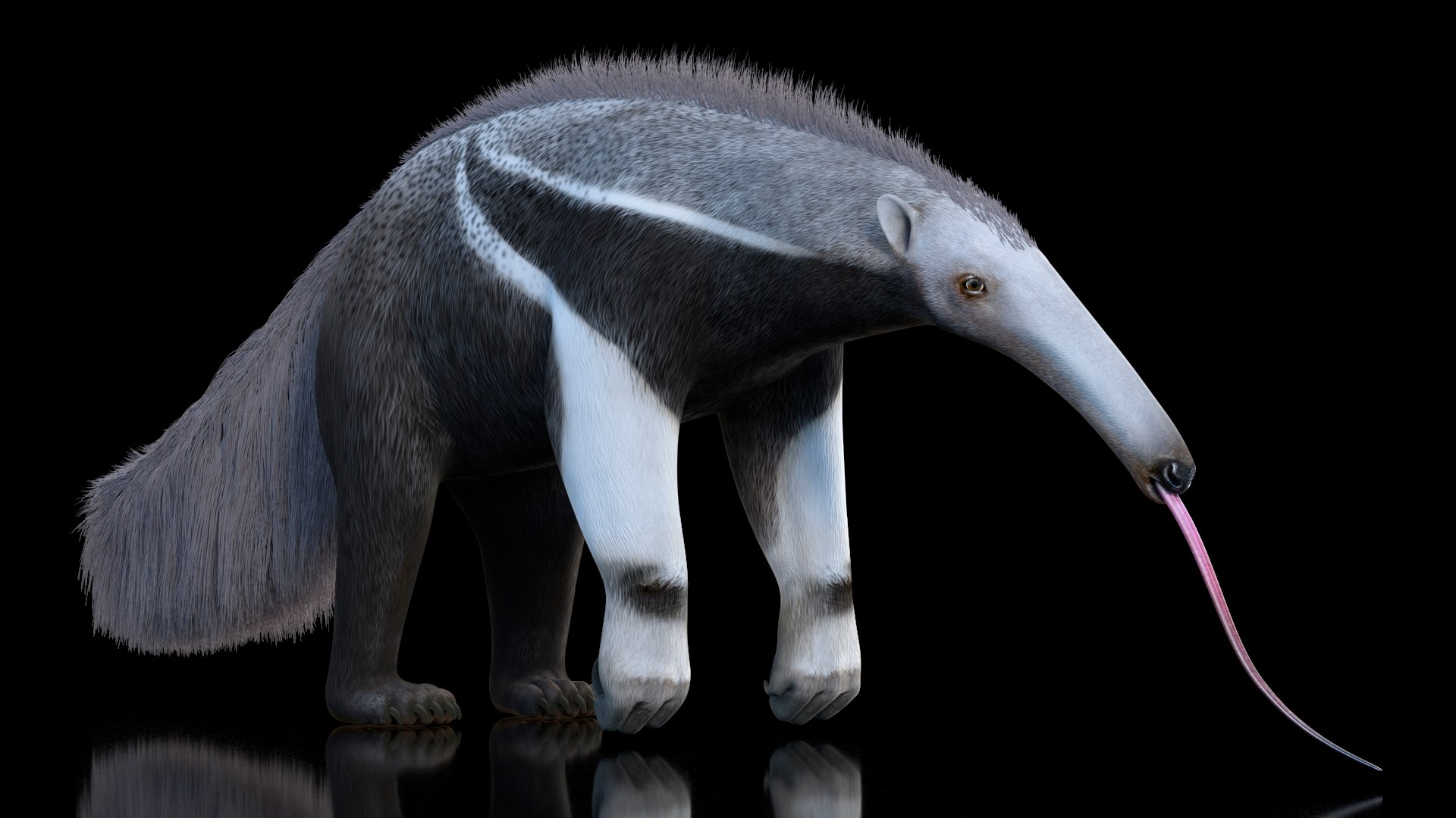 3D Model South America Mammals Collection - TurboSquid 2115849