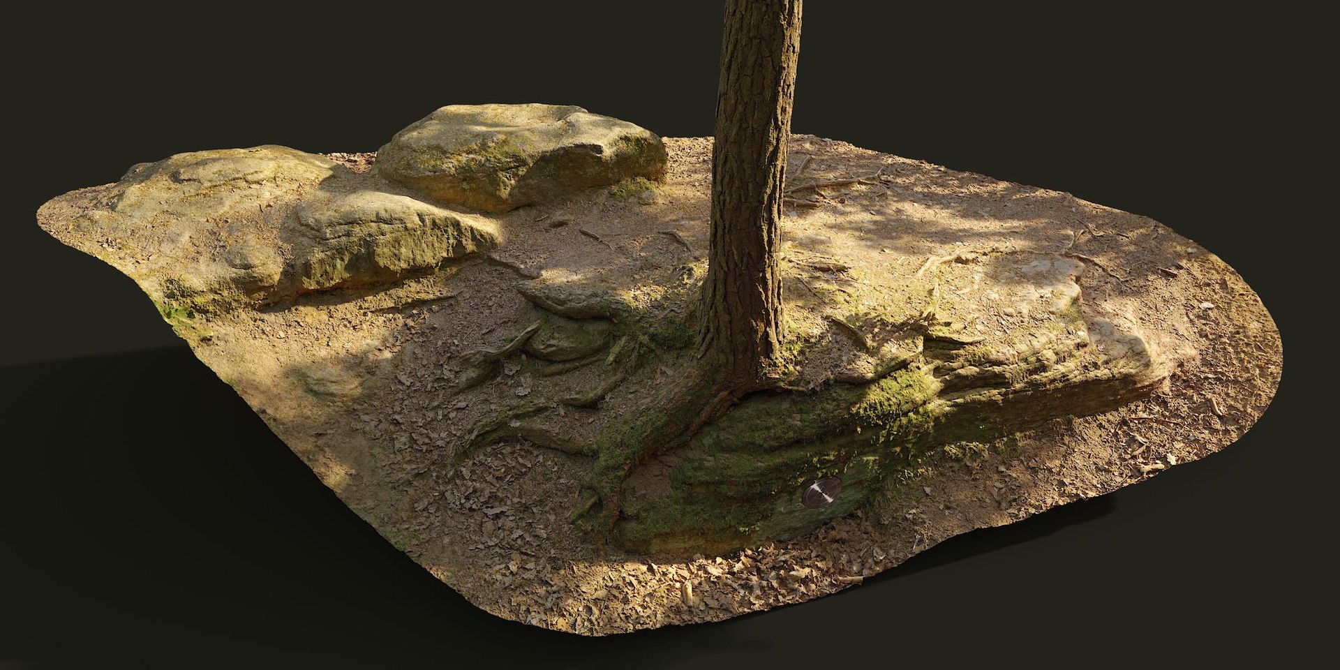 Mossy Tree Roots On Dry Soil 3D Model - TurboSquid 1800079