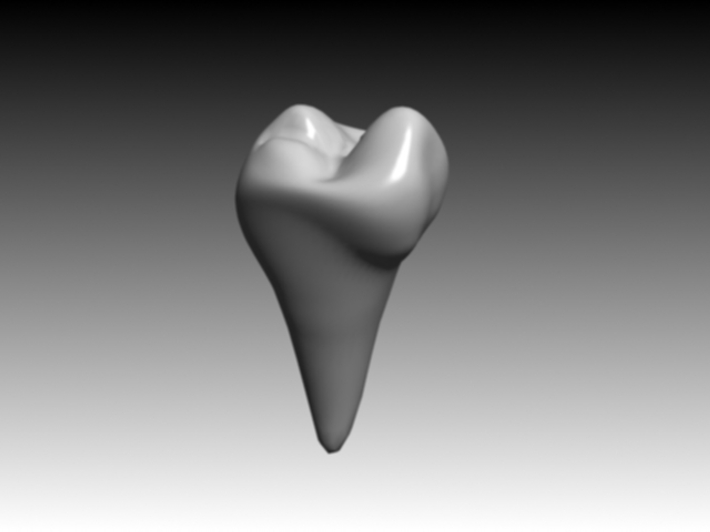 3d model of second premolar mandibular