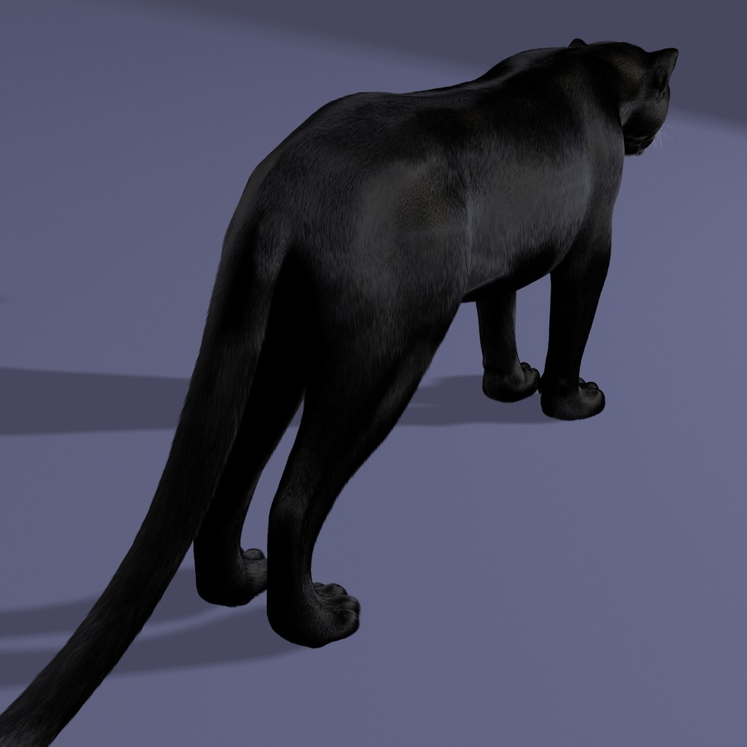 3d Obj Black Panther Fur
