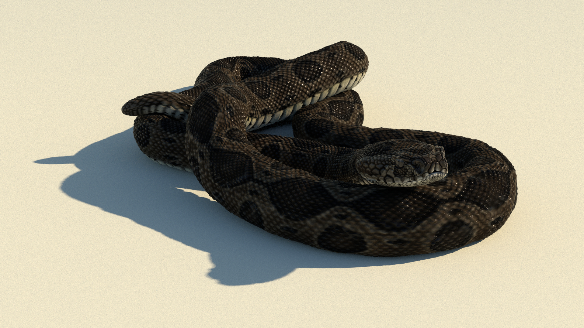 Rigged Russell S Viper Animation 3D Model - TurboSquid 1577615