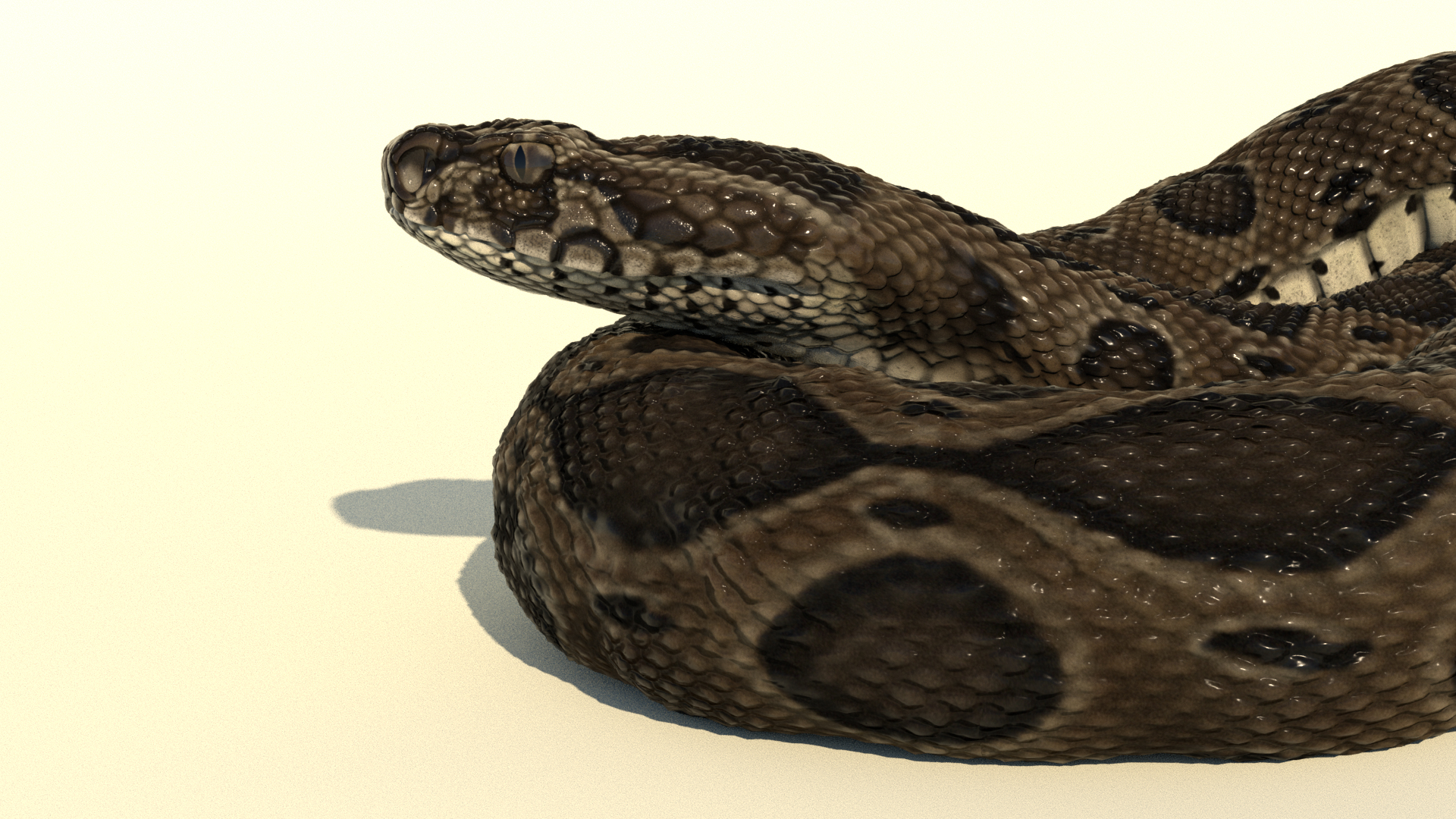 Rigged Russell S Viper Animation 3D Model - TurboSquid 1577615