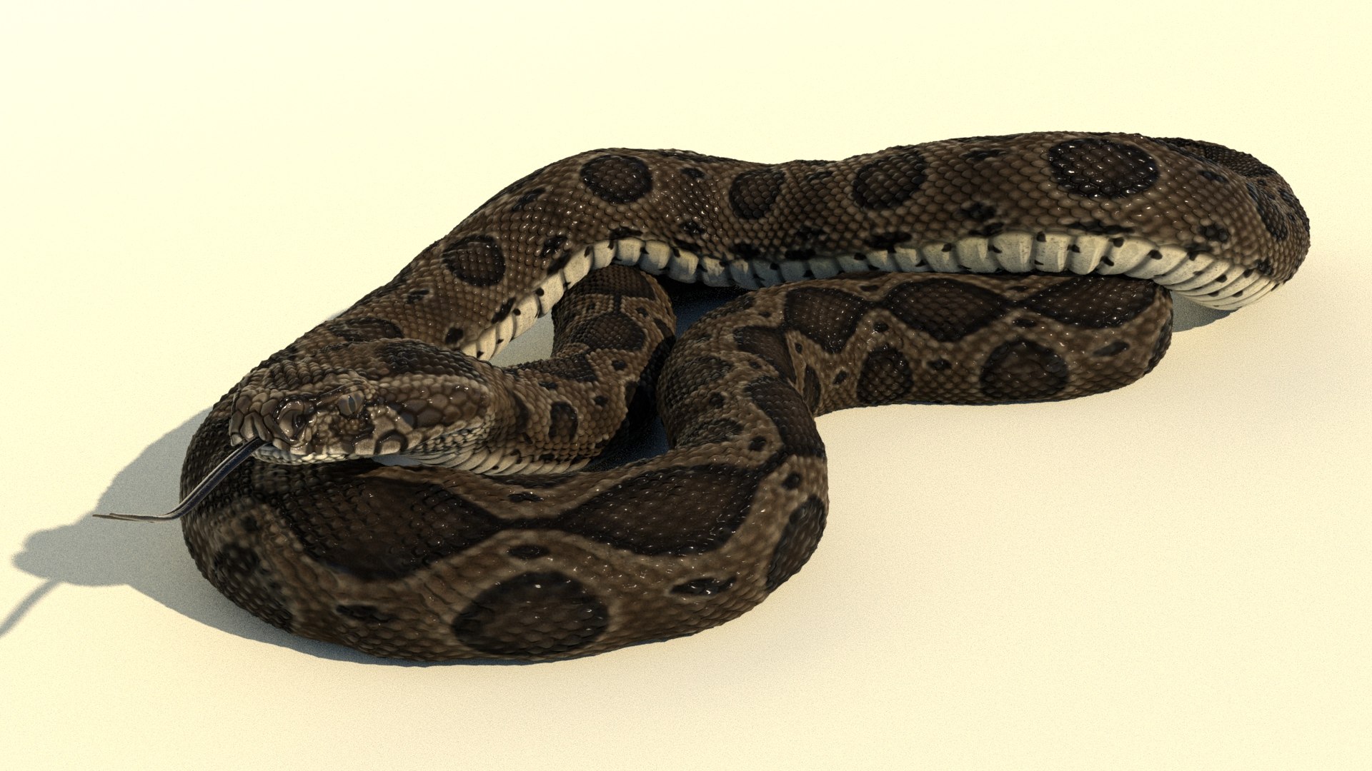 Rigged Russell S Viper Animation 3D Model - TurboSquid 1577615
