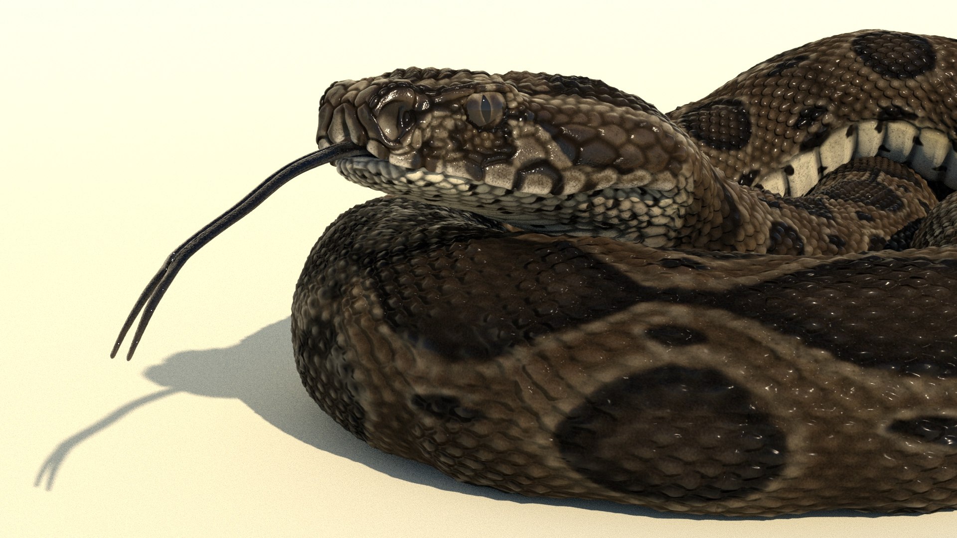 Rigged Russell S Viper Animation 3D Model - TurboSquid 1577615
