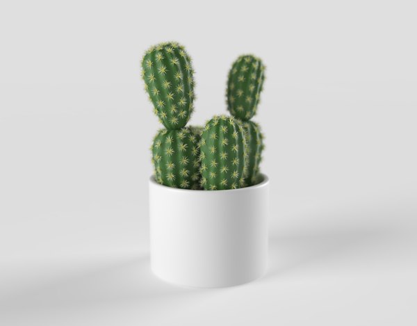 Cactus pot 3D model - TurboSquid 1676729
