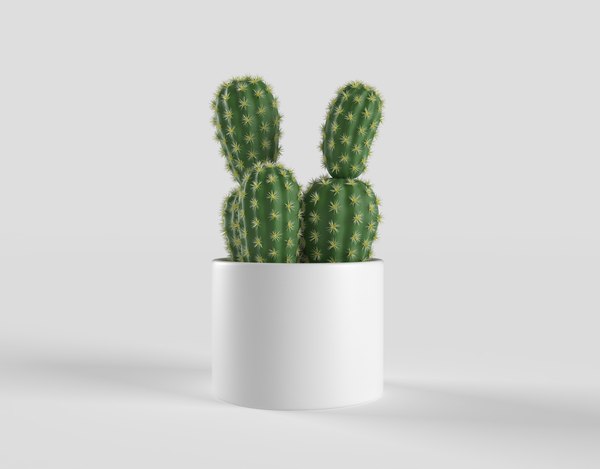 Cactus pot 3D model - TurboSquid 1676729