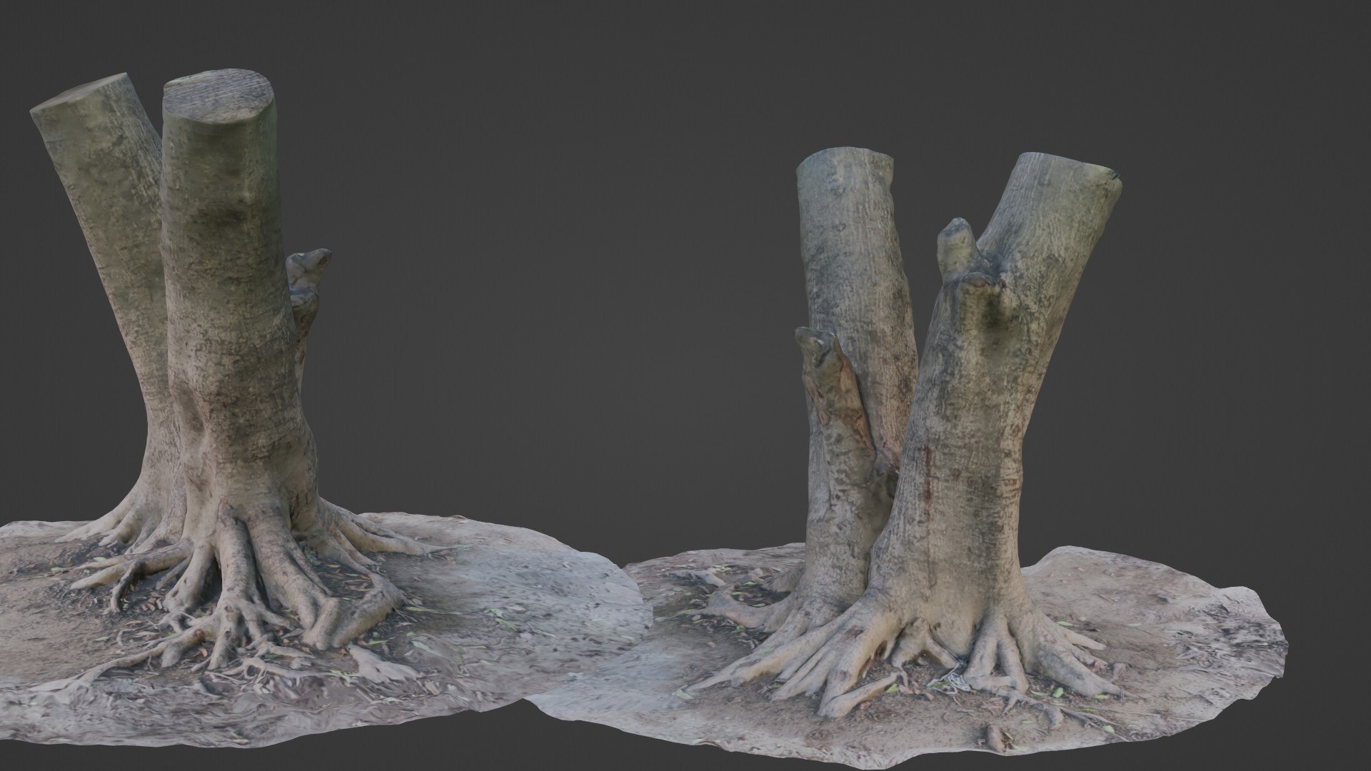 3D Model Tree With Roots - TurboSquid 2329900