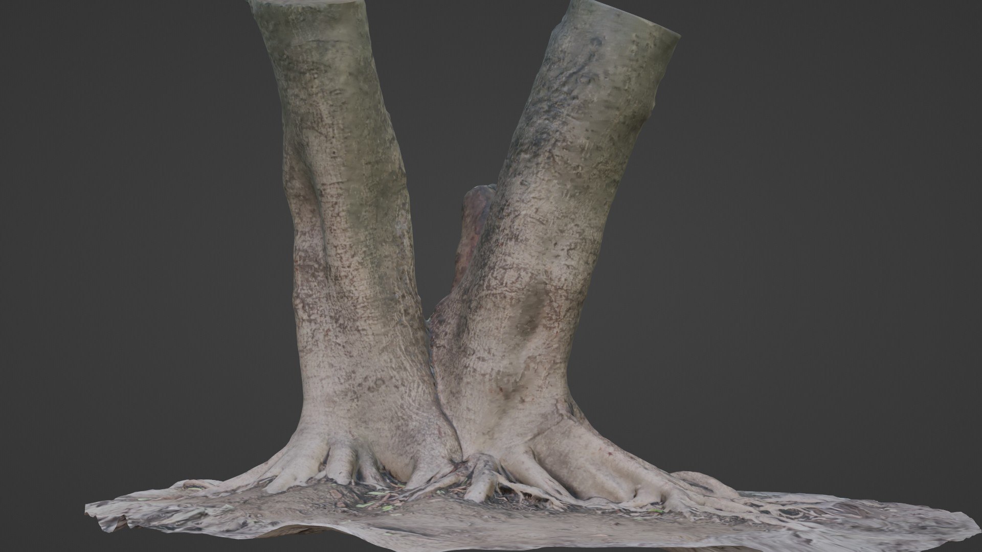 3D Model Tree With Roots - TurboSquid 2329900