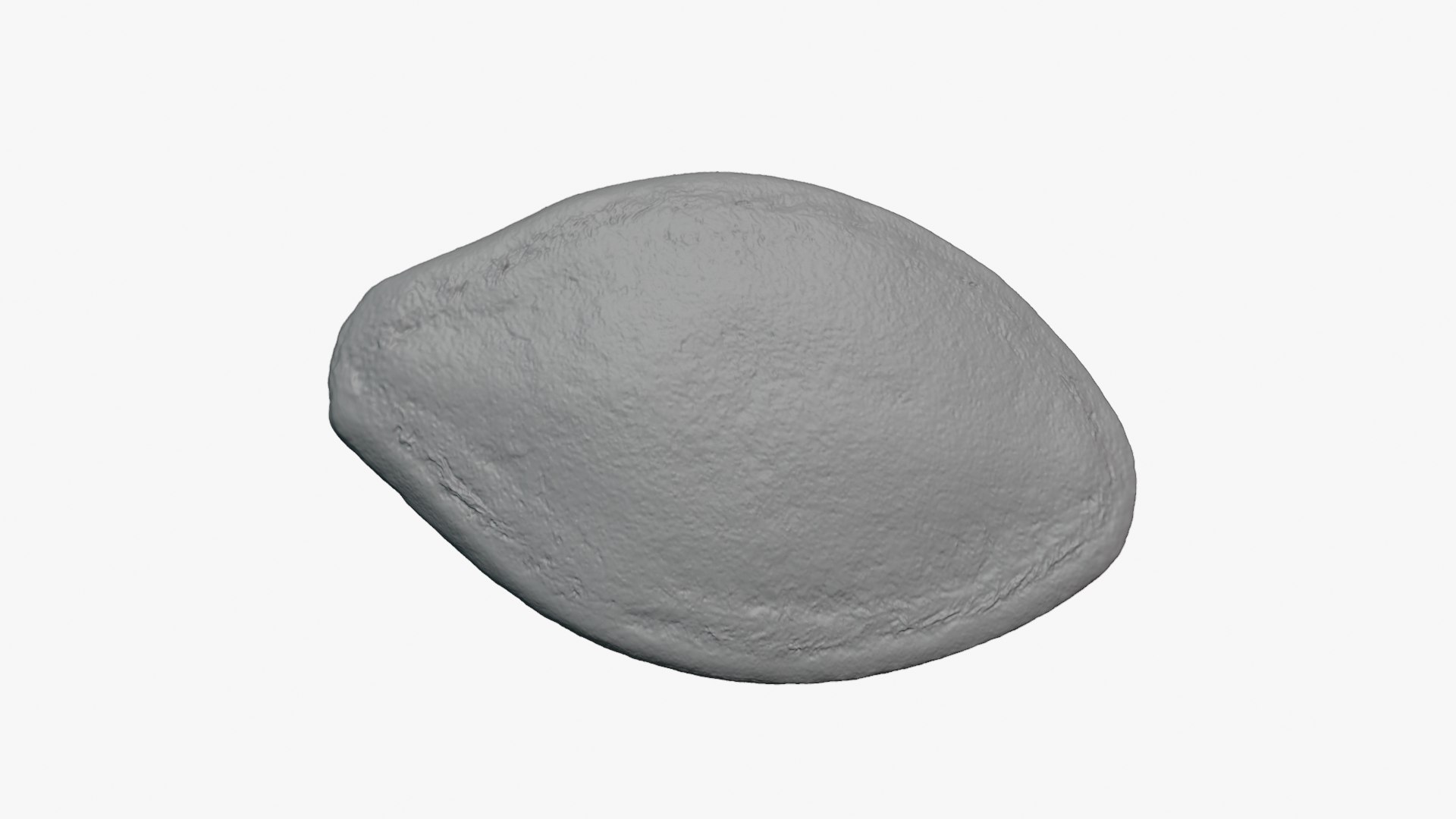 3D Pumpkin Seed 01 - For 3D Print - TurboSquid 2508237