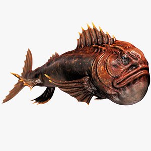 Fish 3D Models for Download | TurboSquid