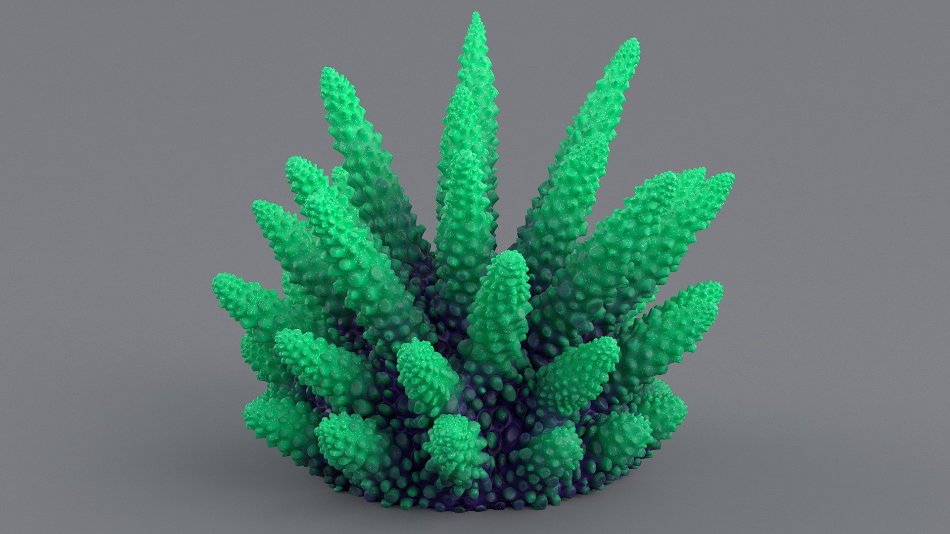 3D Coral 2 S - TurboSquid 1581066
