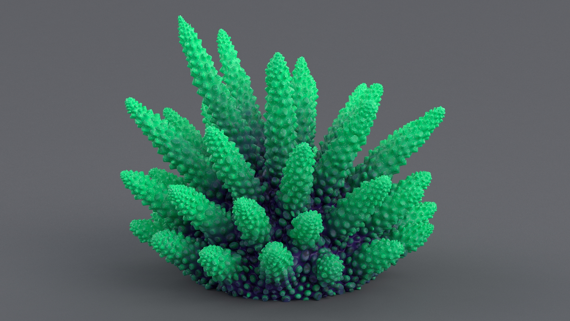 3D Coral 2 S - TurboSquid 1581066