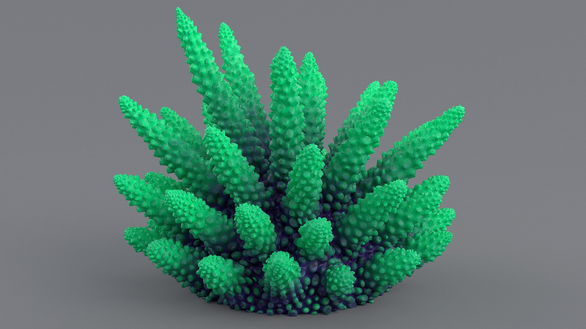 3D Coral 2 S - TurboSquid 1581066
