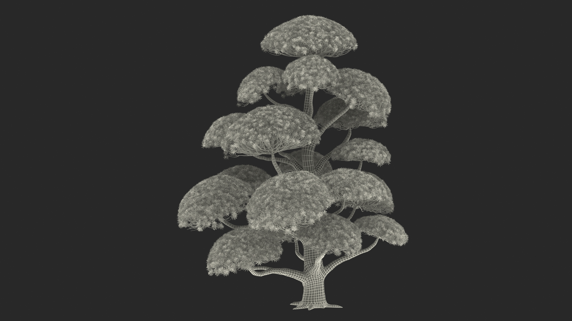 3D Podocarpus Big Tree model - TurboSquid 1771473