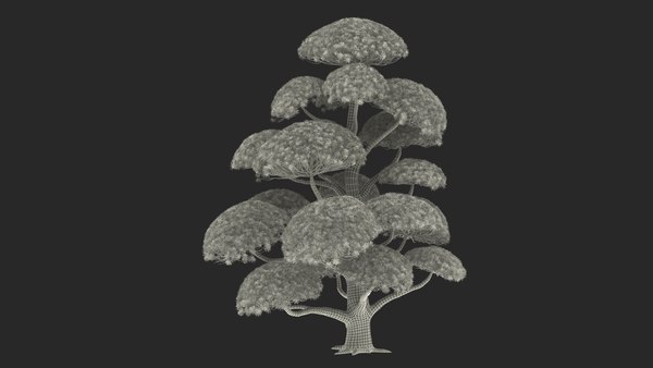 3D Podocarpus Big Tree model - TurboSquid 1771473