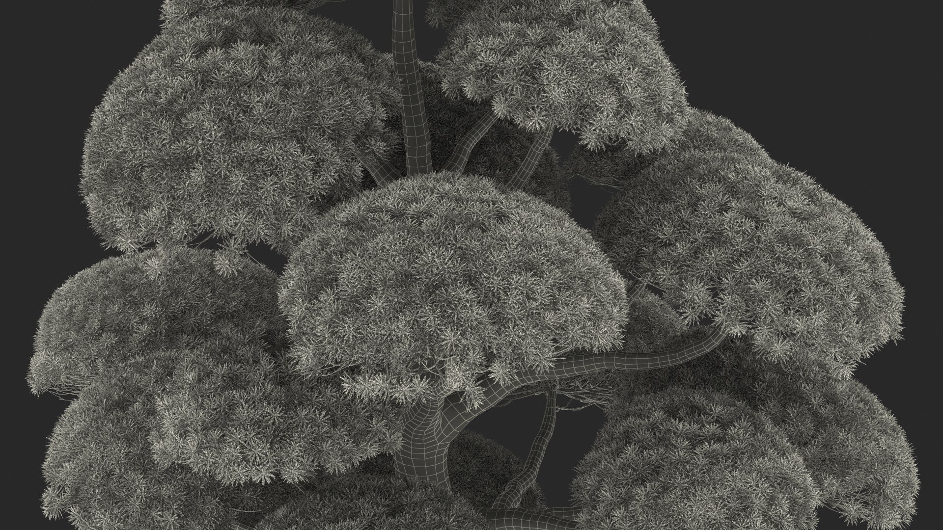 3D Podocarpus Big Tree model - TurboSquid 1771473