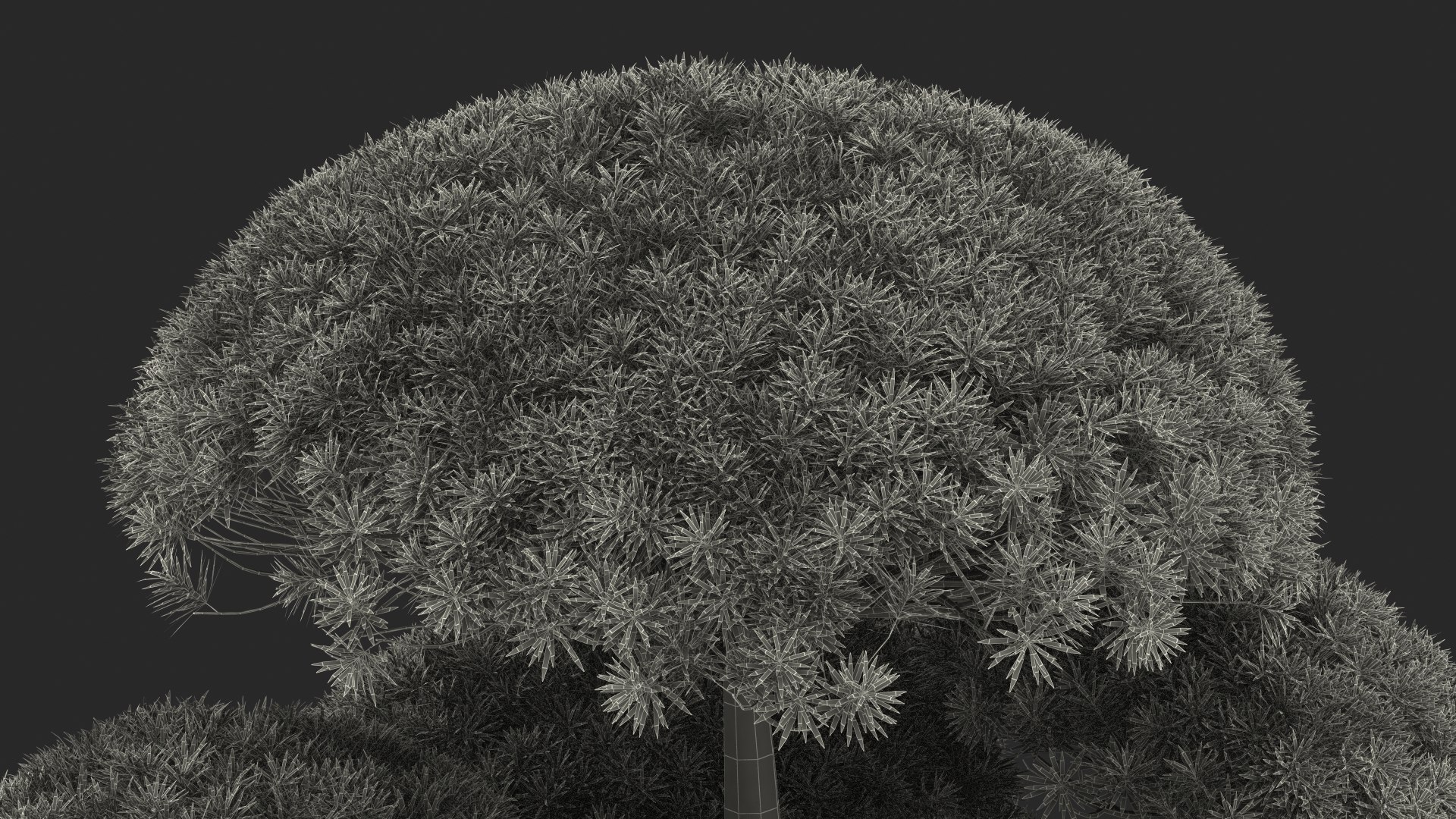3D Podocarpus Big Tree model - TurboSquid 1771473
