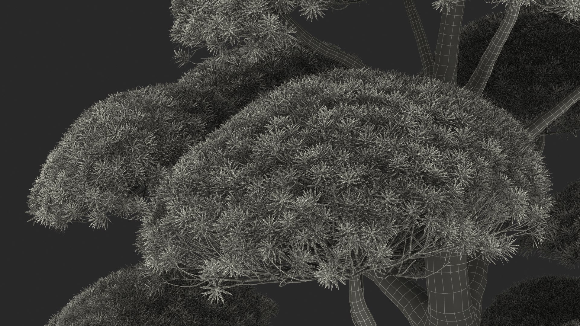 3D Podocarpus Big Tree model - TurboSquid 1771473