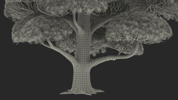 3D Podocarpus Big Tree model - TurboSquid 1771473
