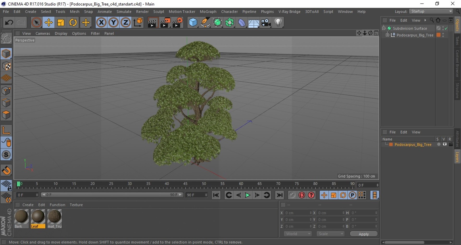 3D Podocarpus Big Tree model - TurboSquid 1771473