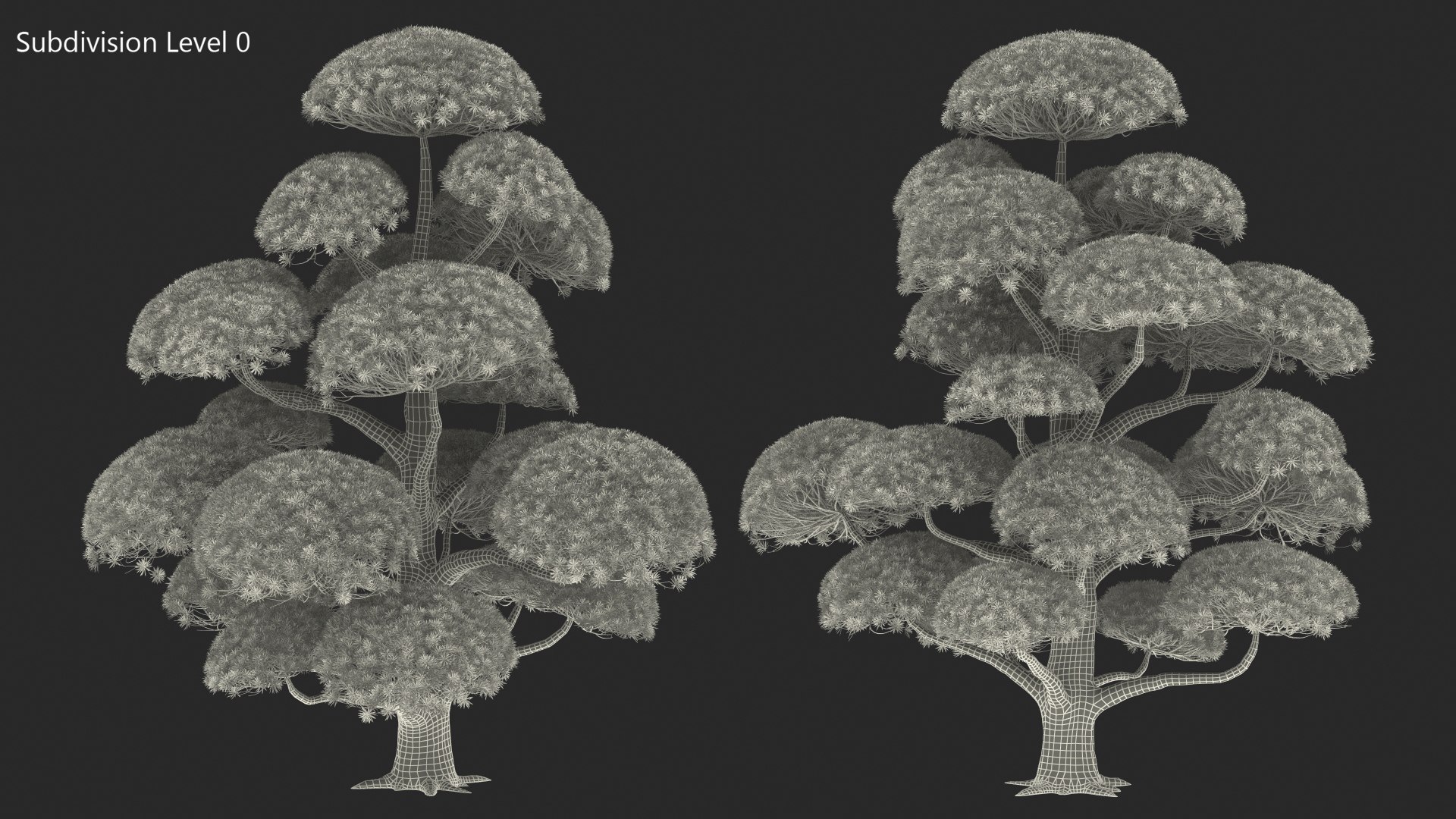 3D Podocarpus Big Tree model - TurboSquid 1771473