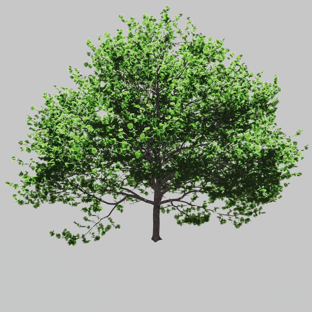3D Tree Set Blender Low Poly - TurboSquid 1990951