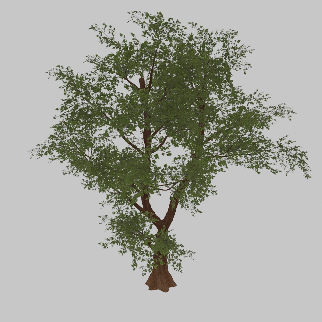 3D Tree Set Blender Low Poly - TurboSquid 1990951