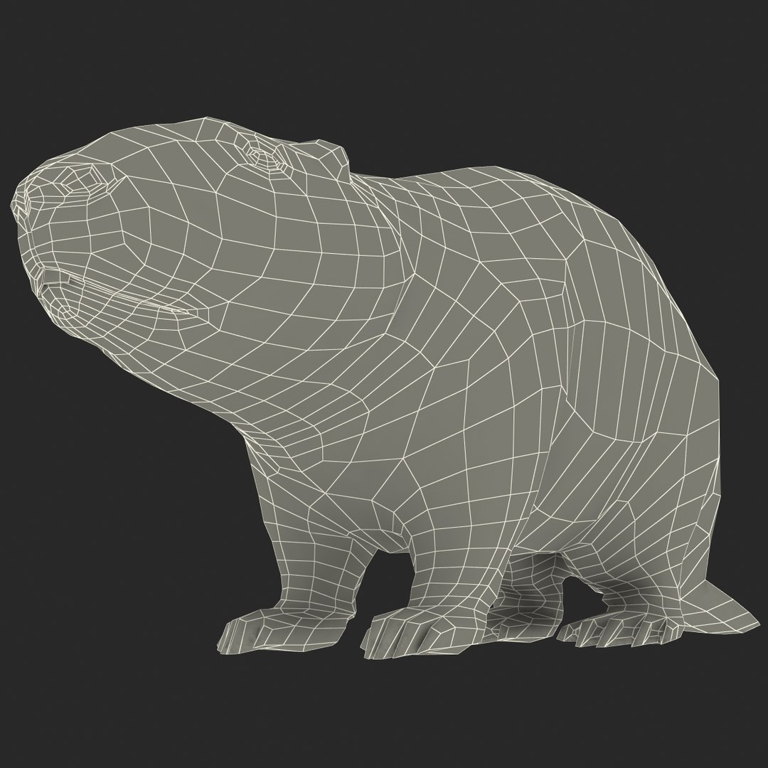 3d Model Beaver Modelled