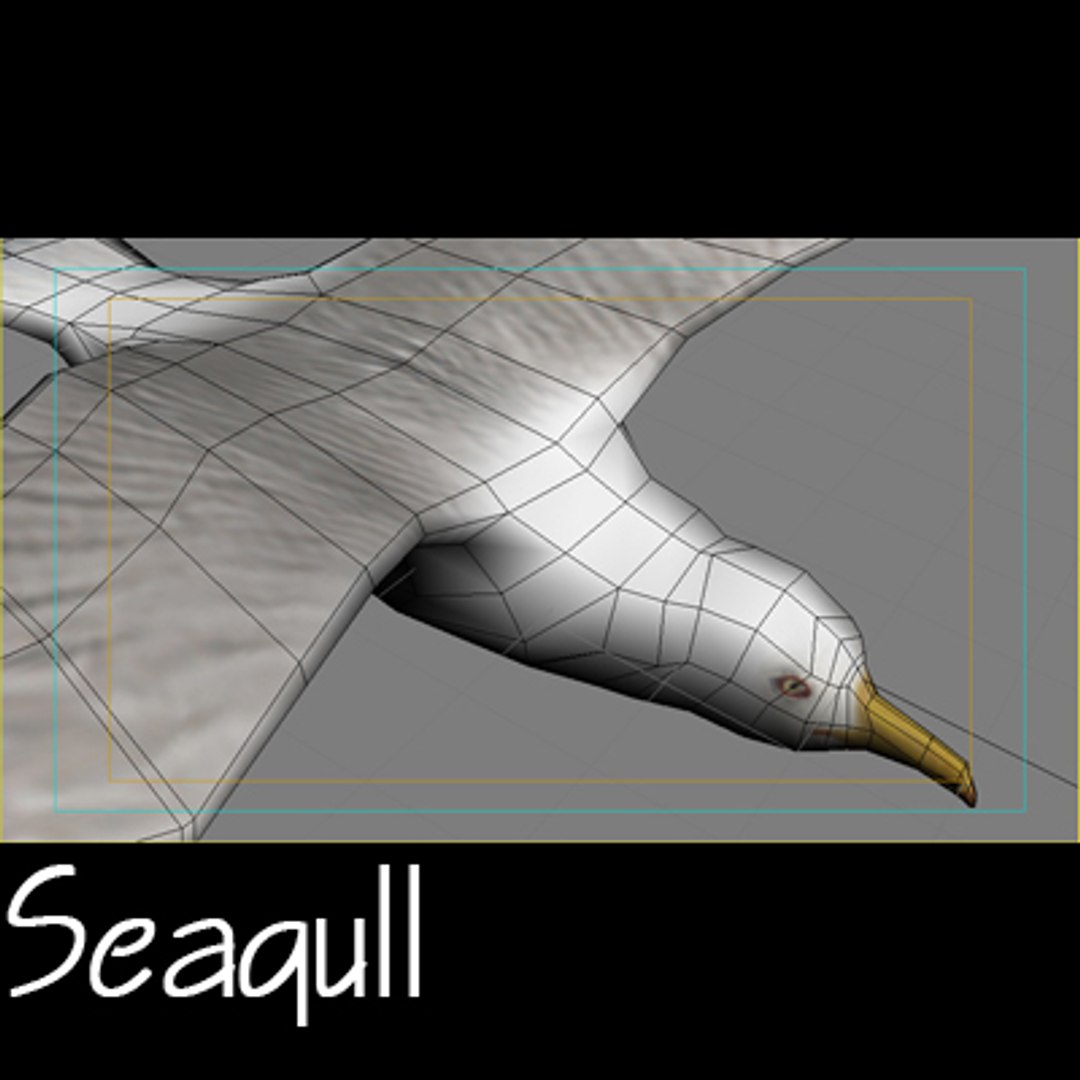Seagull Ready Games 3d Model