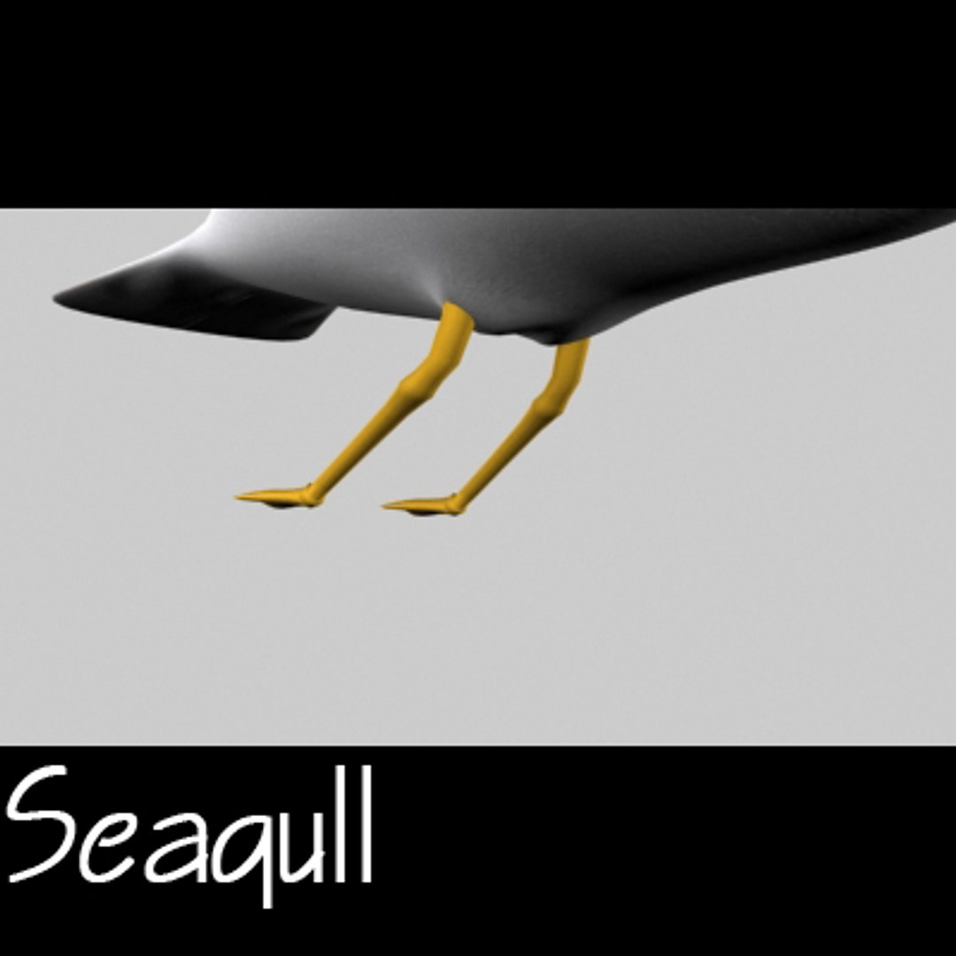 Seagull Ready Games 3d Model