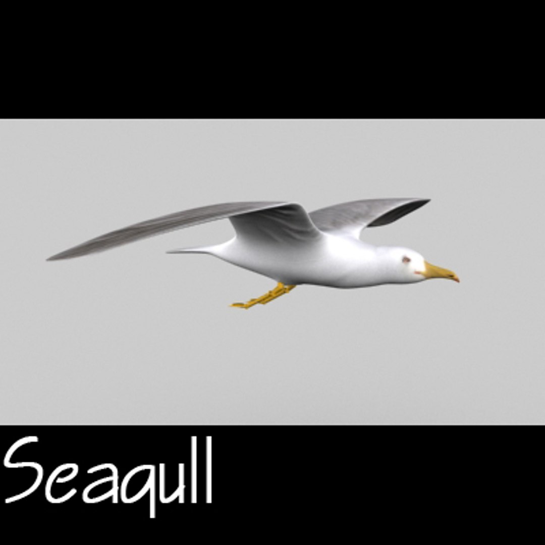 Seagull Ready Games 3d Model