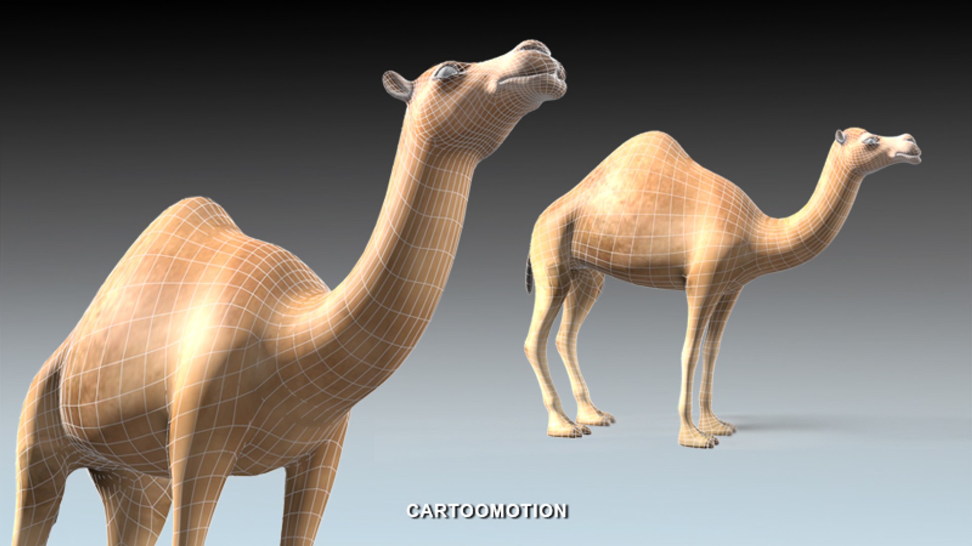 Max Camel