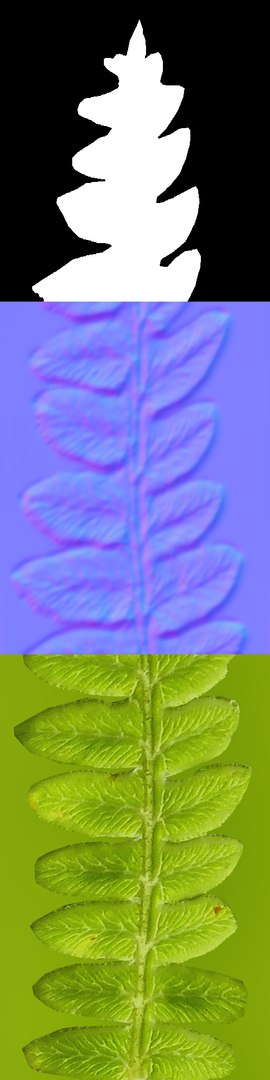 3D Fern Pack 02 Model - TurboSquid 1396962
