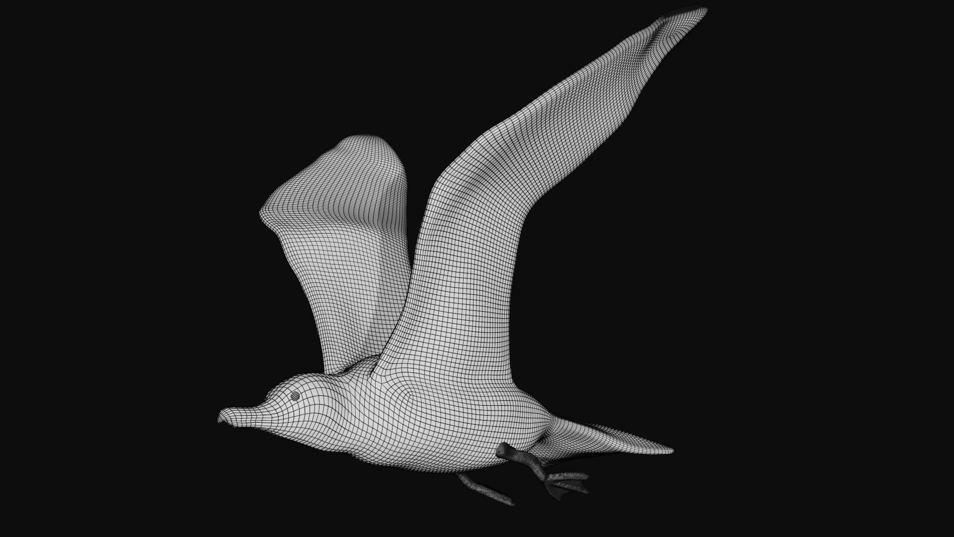 Fully Rigged Two Versions Of Seagull 3D Model - TurboSquid 1746520