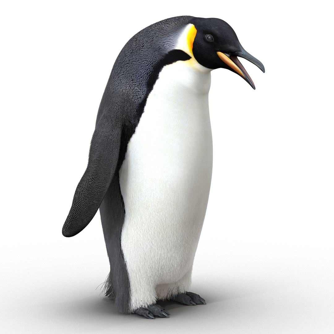 Penguin Pose 3 Fur Max