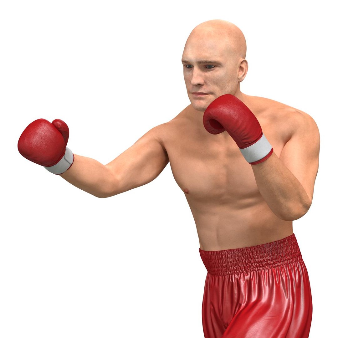 boxer man pose 3 3d model