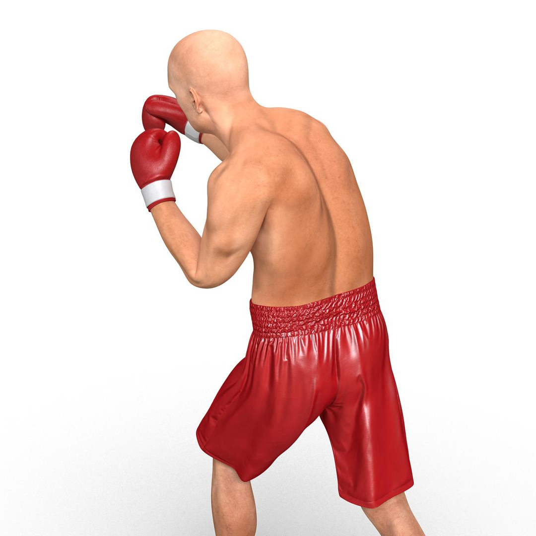 boxer man pose 3 3d model