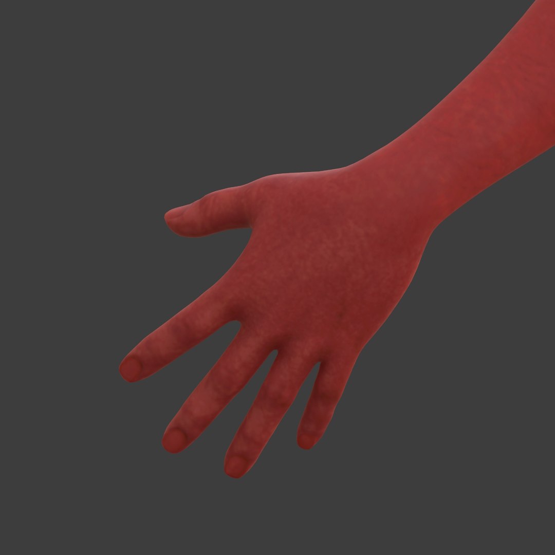 3D Model Character - TurboSquid 2277526