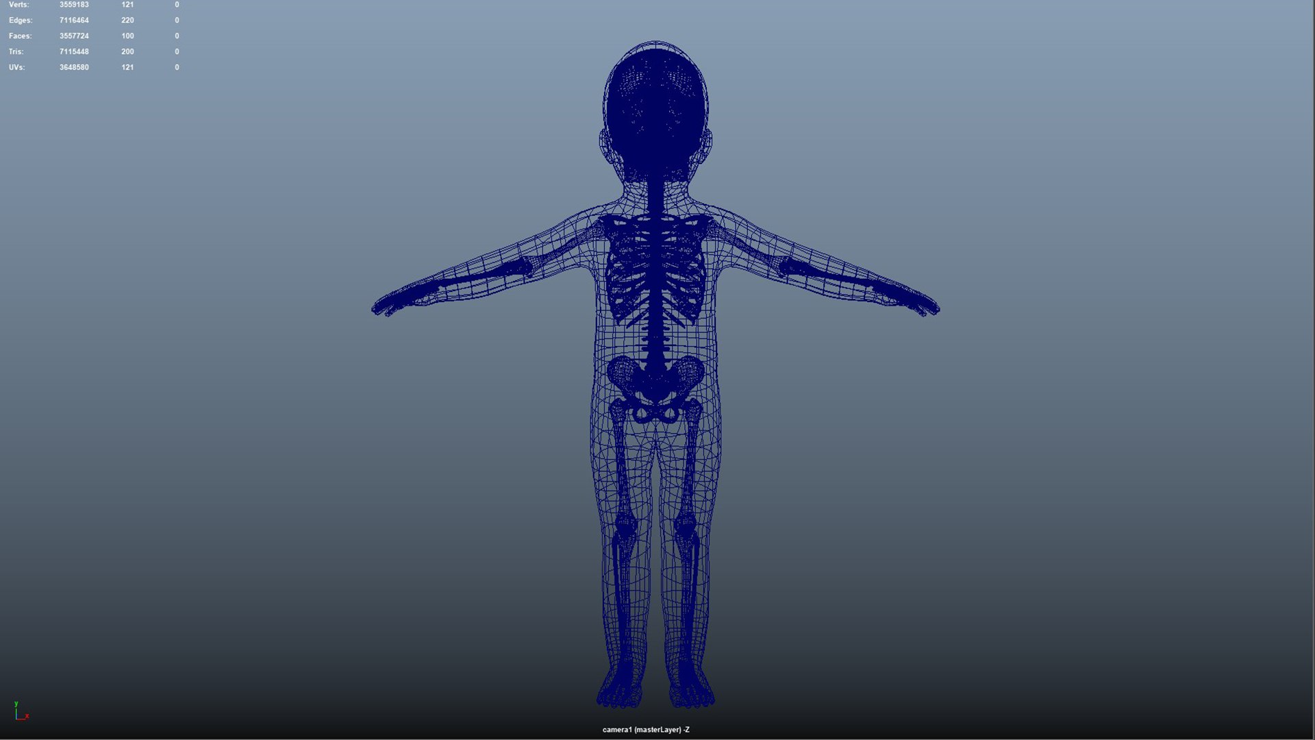 3D Model Child Skeletal Anatomy With Body - TurboSquid 2187552