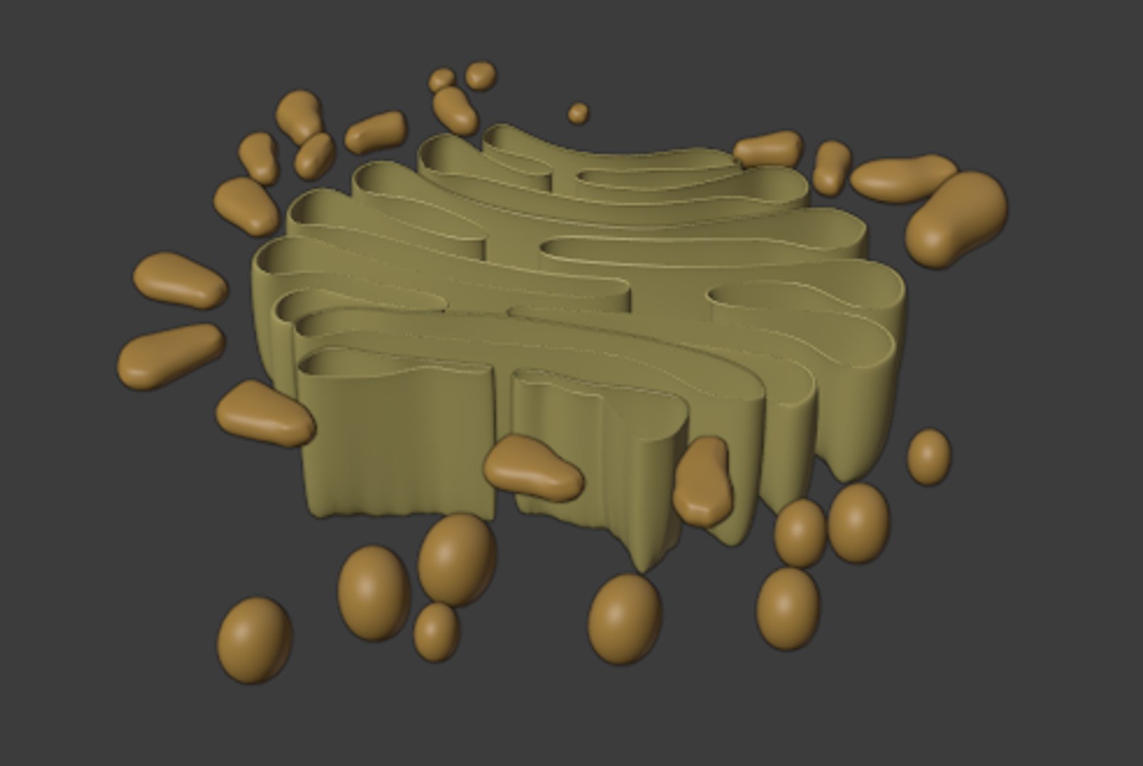 Golgi Apparatus 3D Model - TurboSquid 1639002