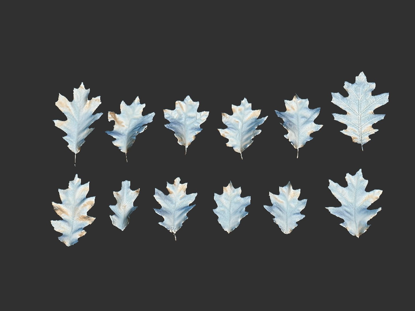 Autumn Leaves Scan Pack 3D Model - TurboSquid 1340303