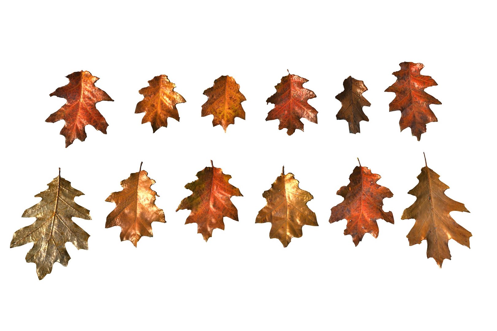 Autumn Leaves Scan Pack 3D Model - TurboSquid 1340303